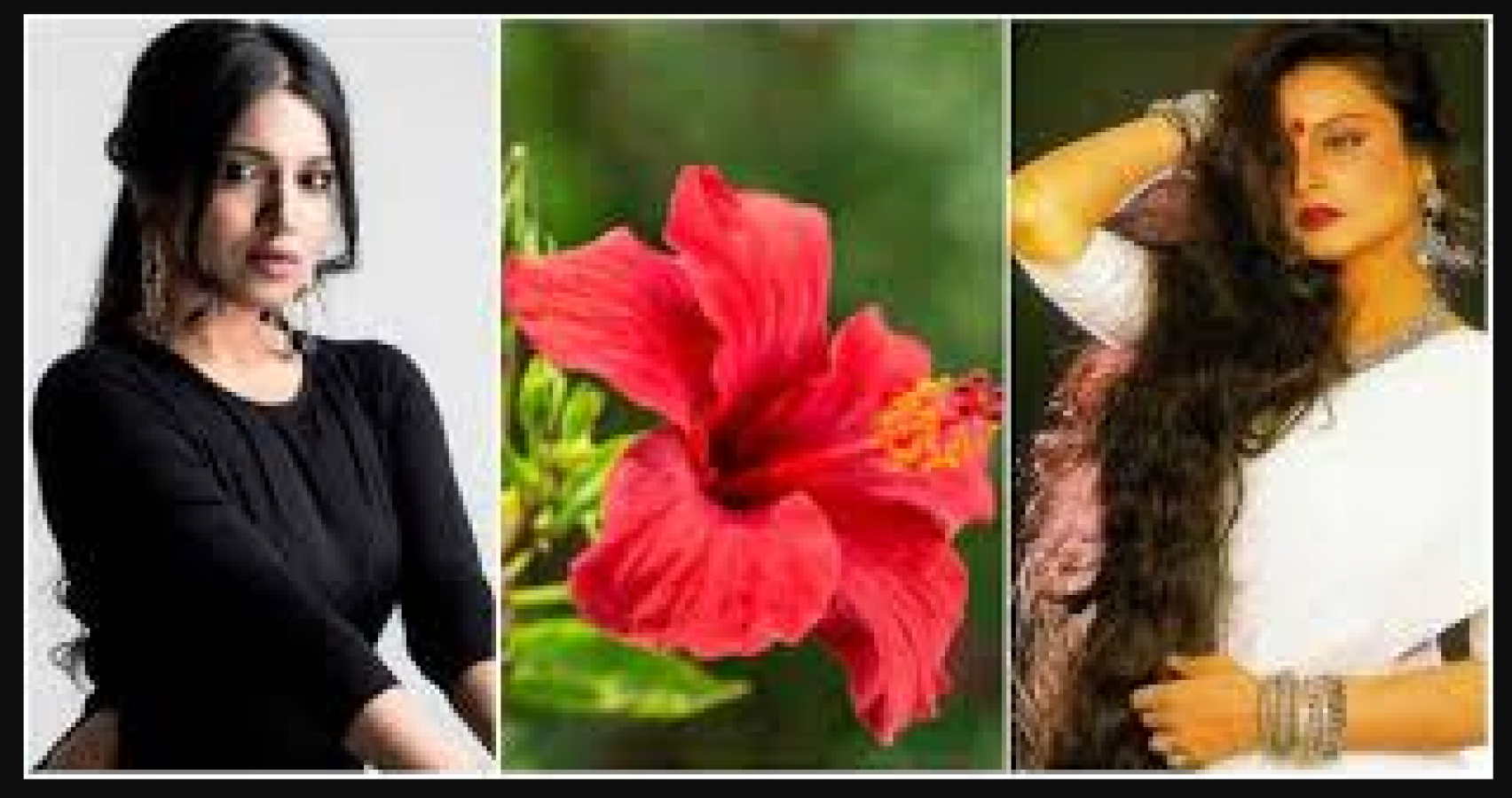 Gudhal Flower Benefits In Hindi | Best Flower Site